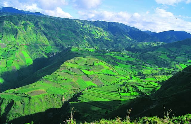 Big Five 5 Good Reasons To Visit Ecuador