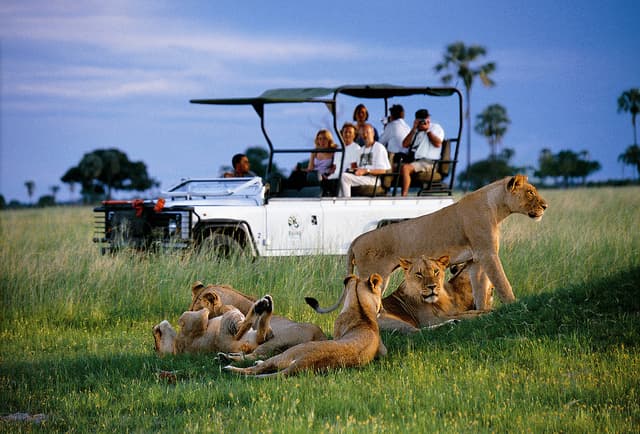 Big Five Wildlife of Botswana – Botswana | Big Five