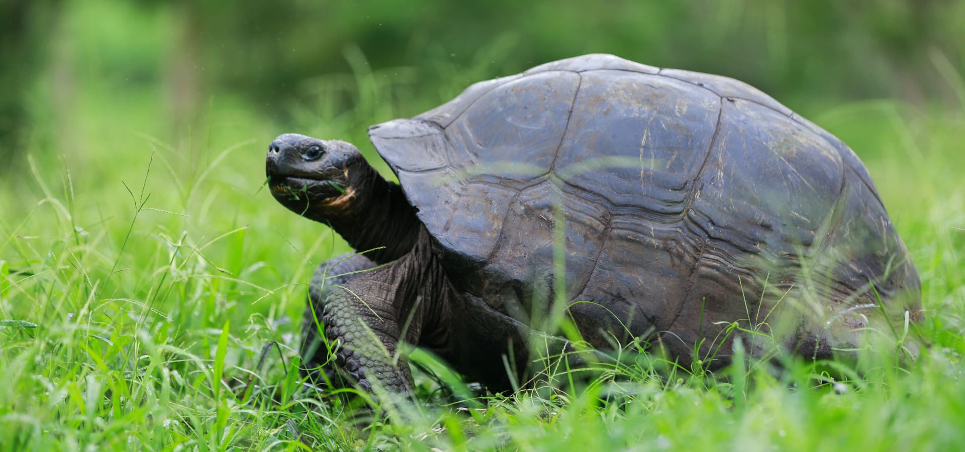 The Galapagos Islands: Of Fish & Fishermen